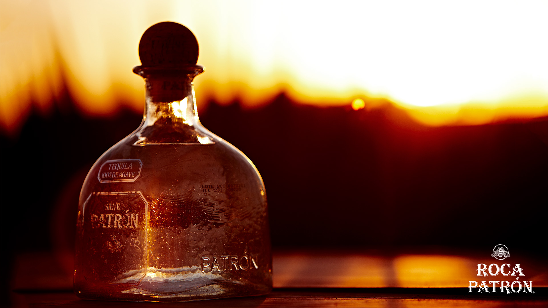 STEVEN LIPPMAN | PATRON | 1